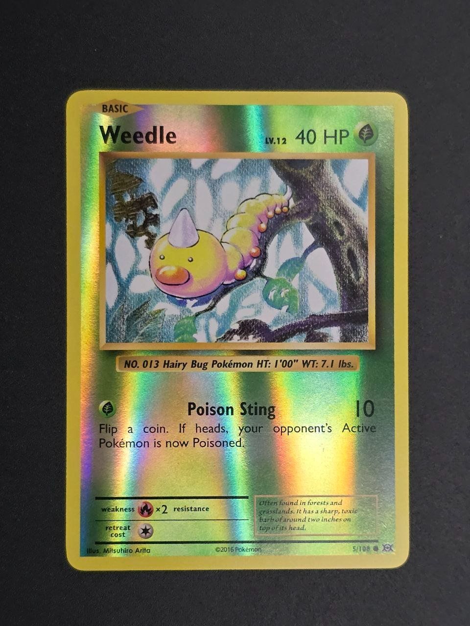 Weedle [Reverse Holo] #5 XY Evolutions NM / 🇬🇧 (D'occasion) à COINTRIN ...