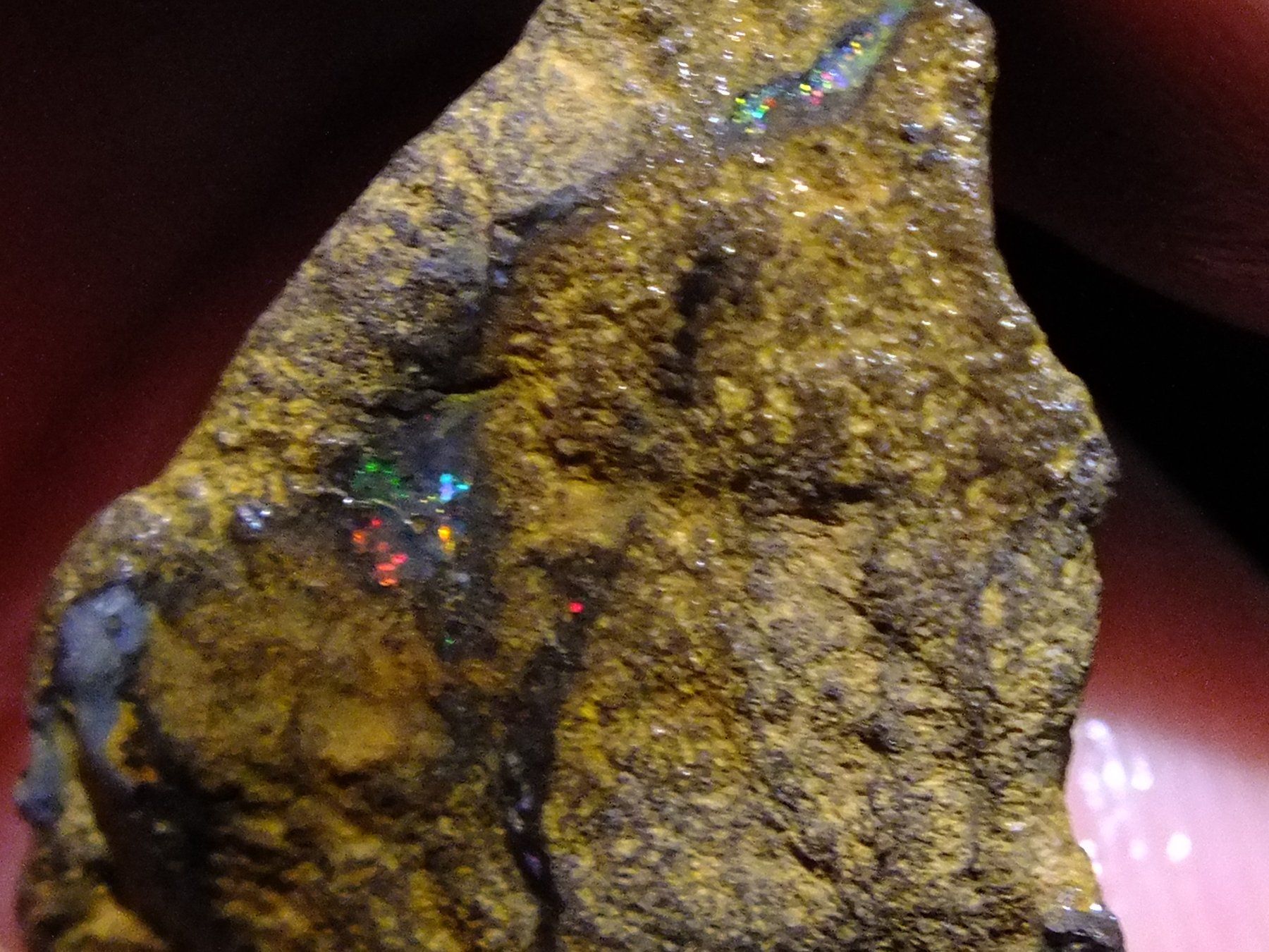 BOULDER ROH OPAL 22.20 Karat Gebot 1.- Elektrisch Rot feuer (Neu und ...