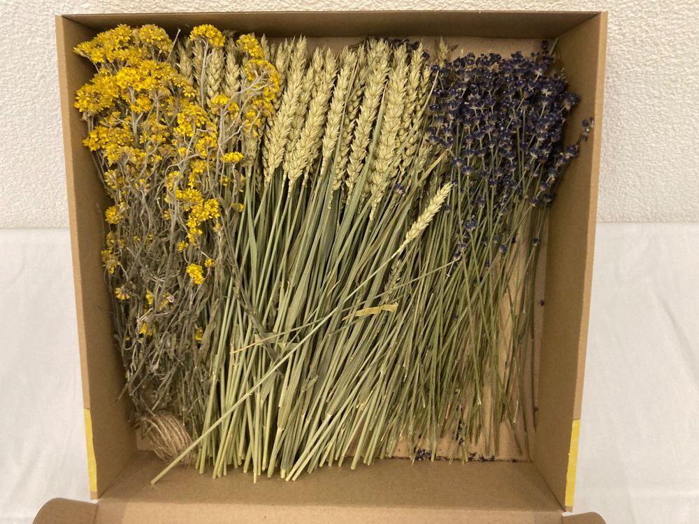Box mit Trockenblumen, natur Produkt, Blumenlänge ca. 35 cm (Neu und originalverpackt) in ...
