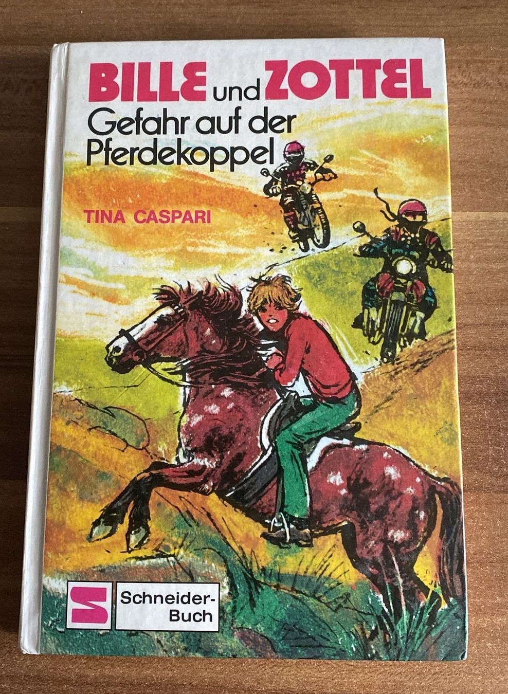 Bille und Zottel Gefahr auf der Pferdekoppel von Tina Caspar (Gebraucht ...