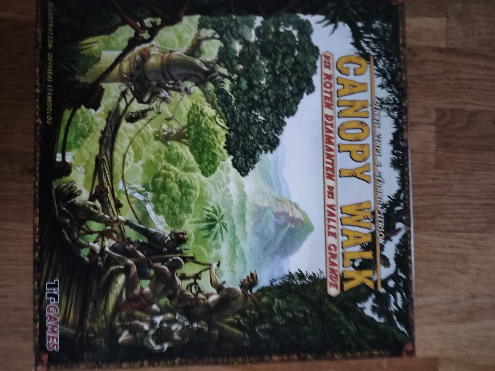 Canopy Walk - Jeu de Société - Comme Neuf - TF Games (D'occasion) à ...