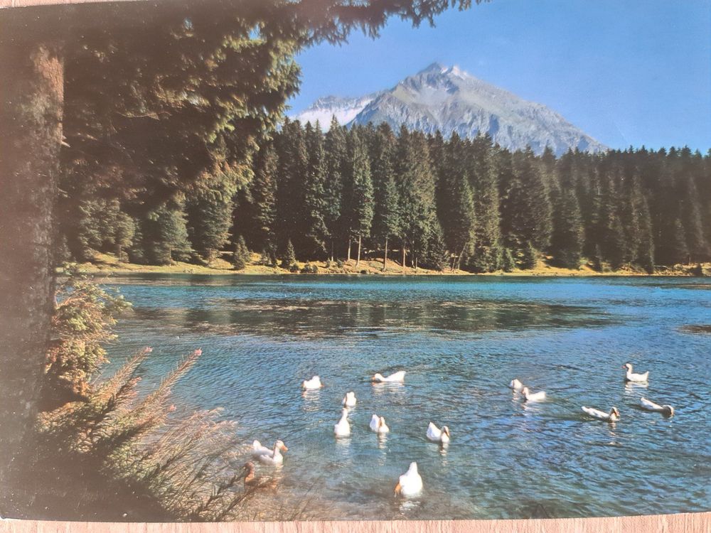 Heidsee Valbella Lenzerheide 1972 (Gebraucht) in Dintikon für CHF 1 – mit Lieferung auf Ricardo ...