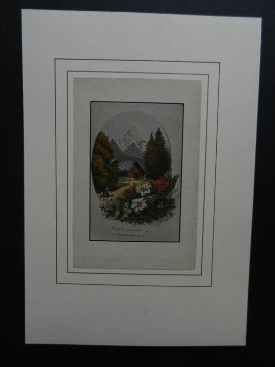 Valbella und Lenzerheide sehr selten (Gebraucht) in Risch für CHF 95 – mit Lieferung auf Ricardo ...