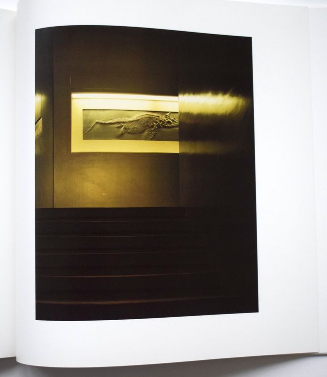 Vogt Christian Basel Streift Licht über d. Flügel Fotografie (Gebraucht ...