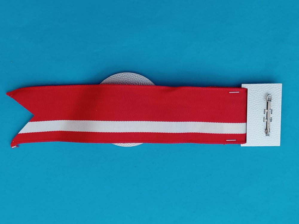SSSV - Gruppen Meister Wappen Tessin 2001 (W78) | Kaufen auf Ricardo