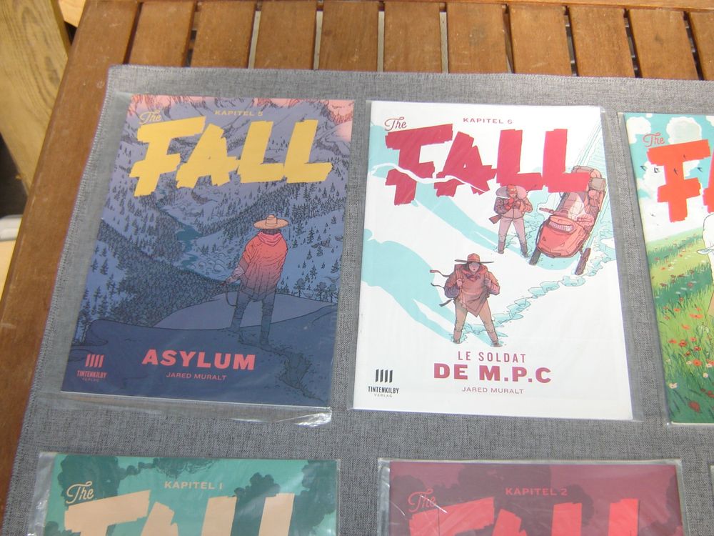 The Fall - Jared Muralt Comic Sammlung, Top Zustand! (Gebraucht) in ...