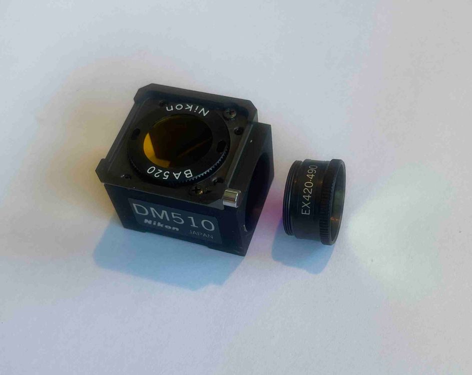 Nikon Labophot Fluoreszenz Mikroskop Trinocular f head dm510 (Defekt ...