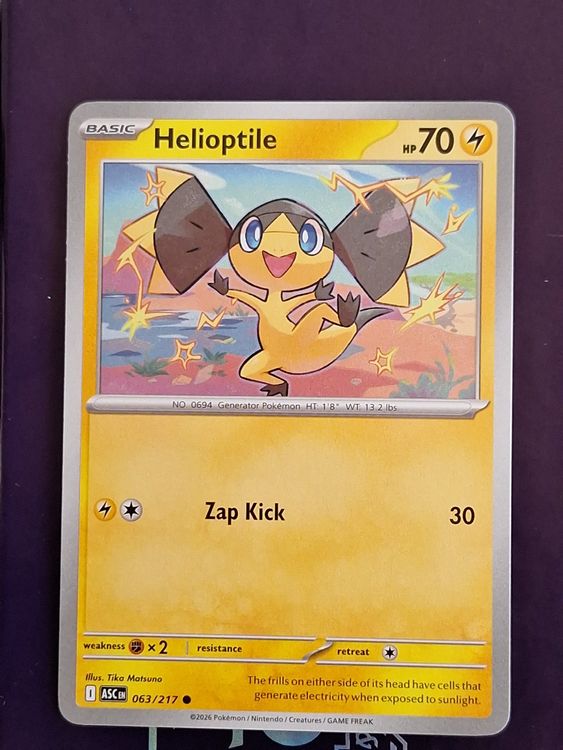 Helioptile - Pokemon Ascended Heroes (Gebraucht) in Altstätten SG für ...