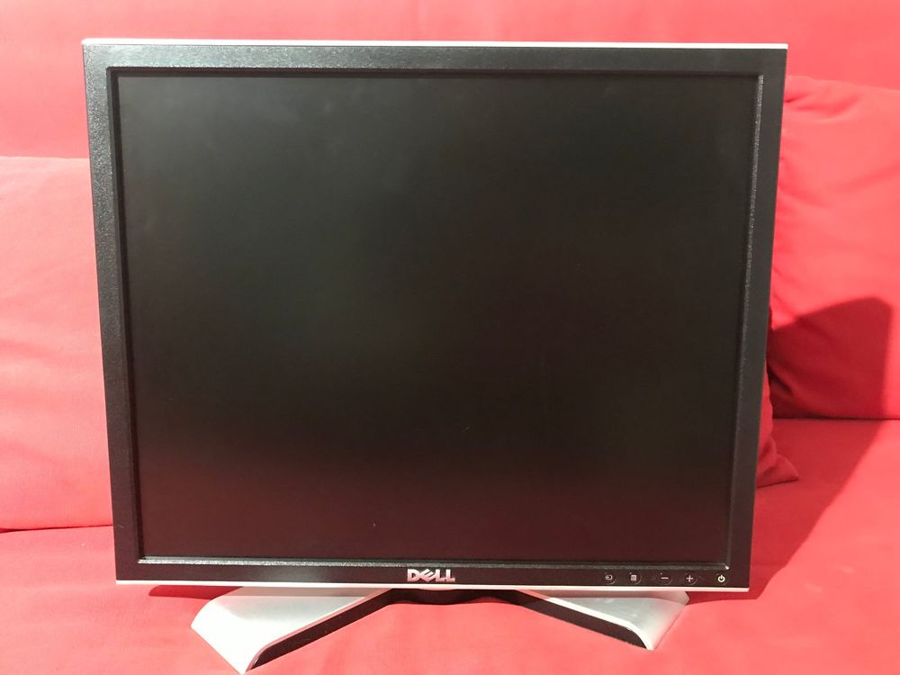 19' Dell Bildschirm Model No. 1908FPC | Kaufen auf Ricardo