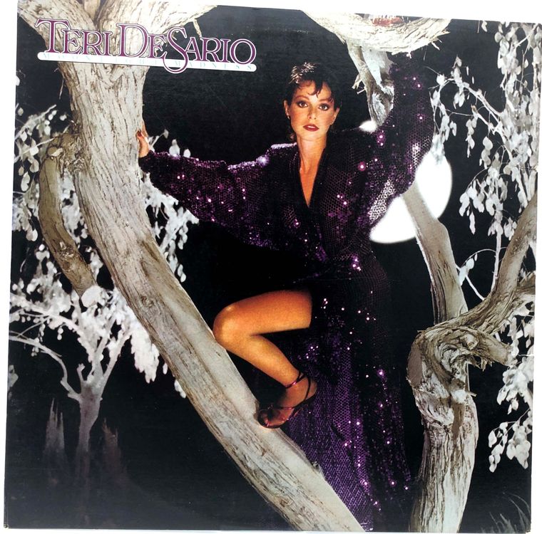 Teri DeSario – Moonlight Madness – LP 1979 (Gebraucht) in Häusernmoos ...