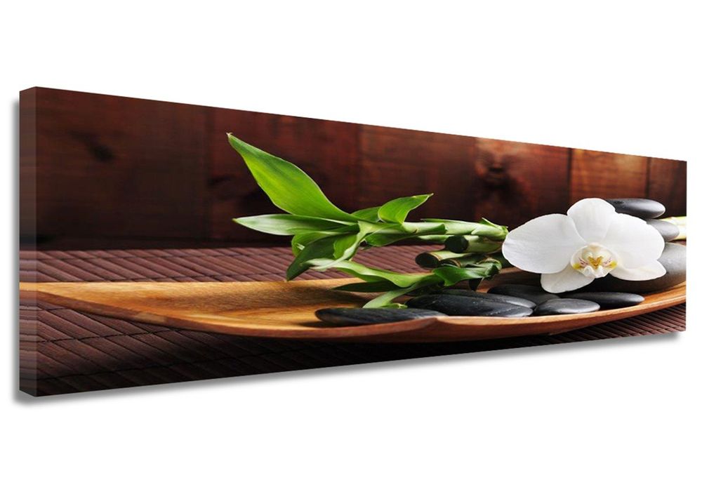 Leinwand 120x40cm Leinwandbild Bild Wandbild Schale 2D (Neu und originalverpackt) in Wallenwil ...