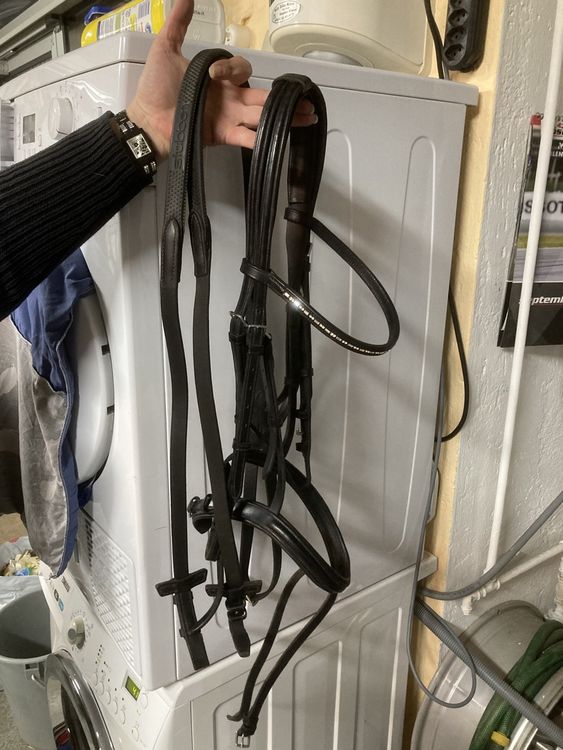 Zaum schwart mit Strass ink. Zügel Pferd (Gebraucht) in Boll für CHF 20 ...