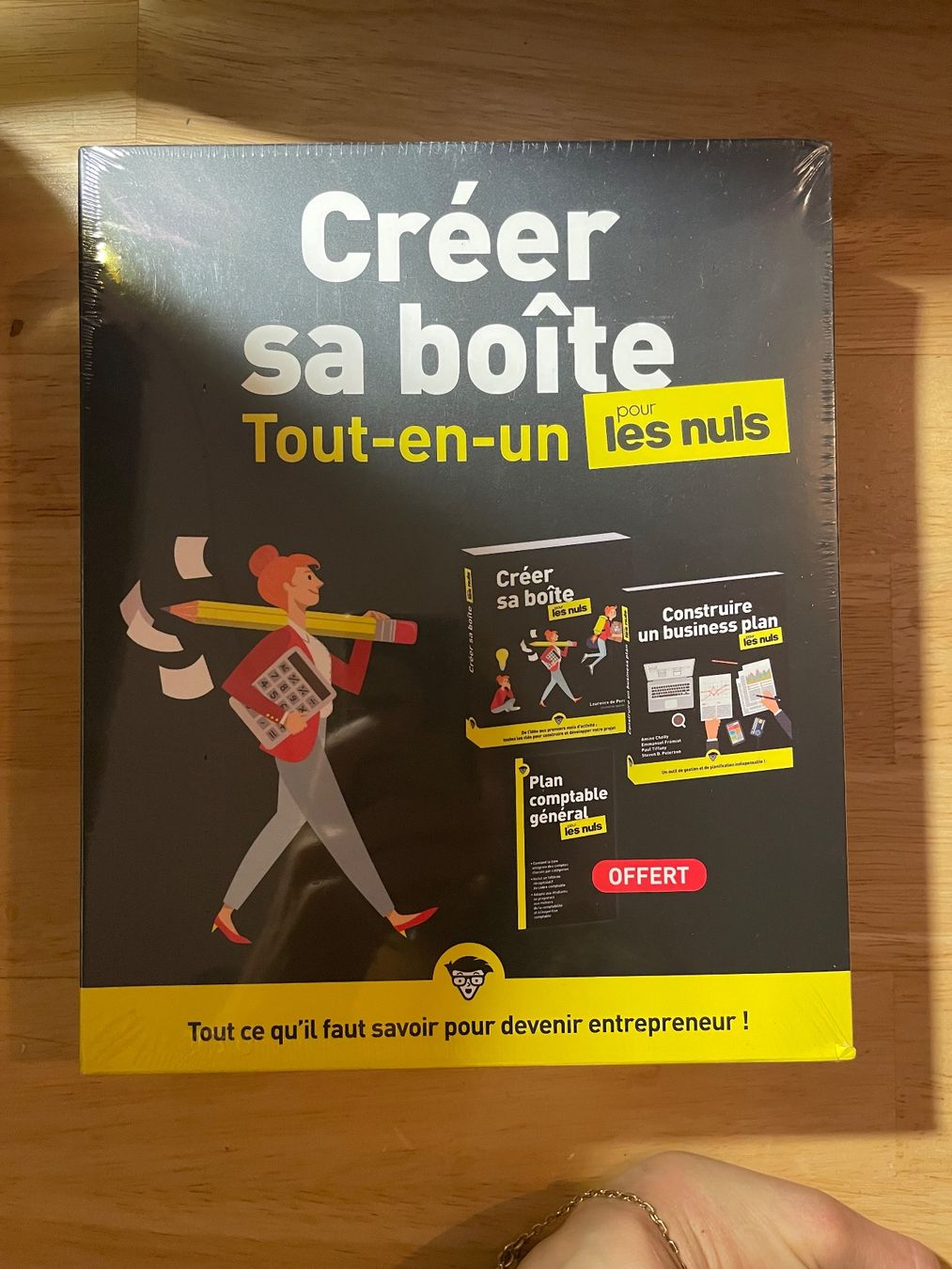 Livres "Créer sa boîte tout-en-un pour les nuls" (Neu und ...