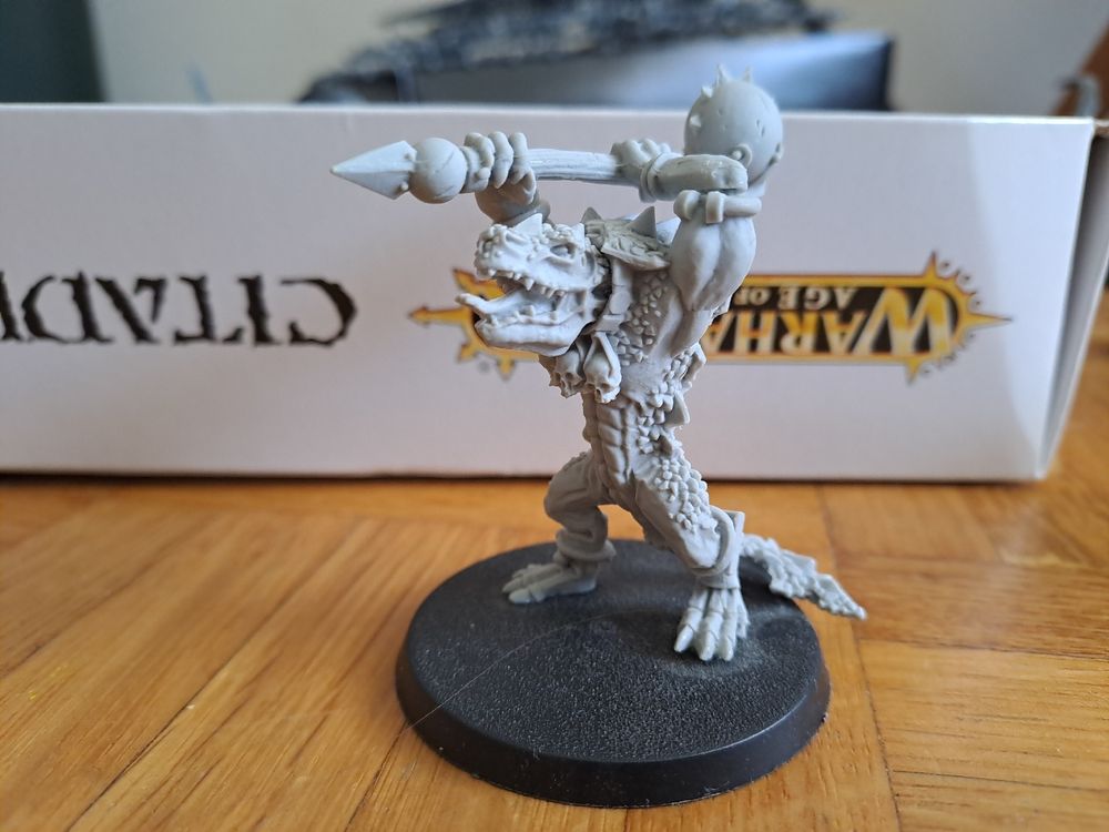 Warhammer Fantasy/Age Of Sigmar, Seraphim Finecast Kroxigor | Kaufen ...