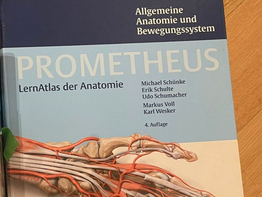 Prometheus Lernatlas der Anatomie 4. Auflage und Lernkarten (Gebraucht ...