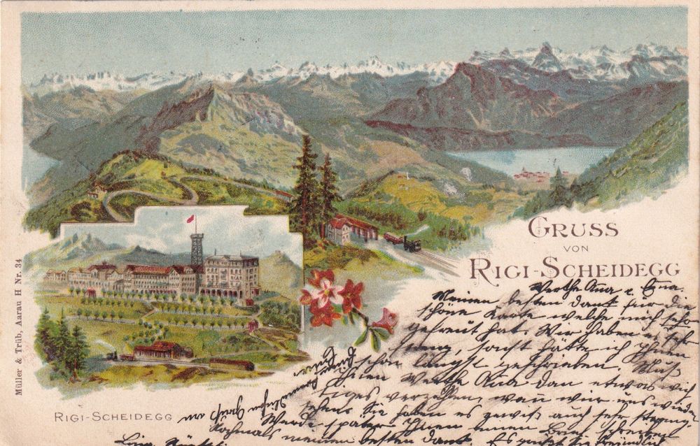 Gruss von Rigi-Scheidegg (Litho) /ao (Gebraucht) in Hombrechtikon für CHF 1 – mit Lieferung auf ...
