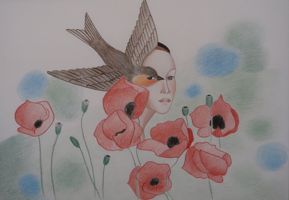 Mohn und Mädchen (poppy and girl) (Neu und originalverpackt) in Horw für CHF 2000 – nur Abholung ...