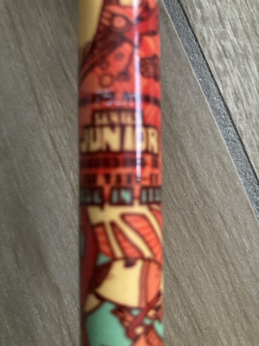 Bâtons de ski Scott Junior, 75cm, occasion (D'occasion) à Gockhausen ...