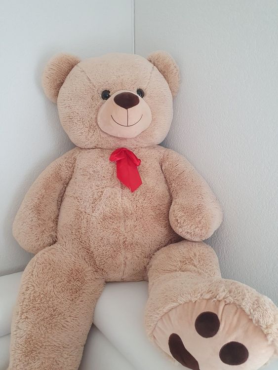 Riesen Teddybär (Neu (gemäss Beschreibung)) in Oberneunforn für CHF 60 ...