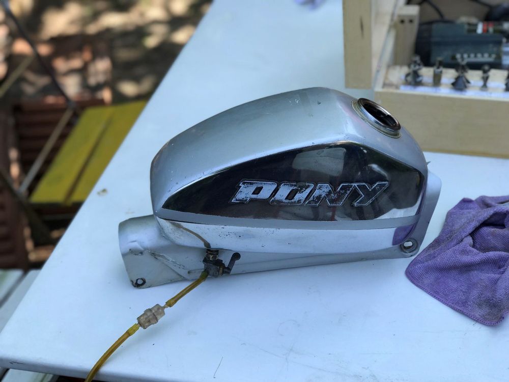 Pony Tank (Gebraucht) in Wolfhalden für CHF 46 – mit Lieferung auf ...