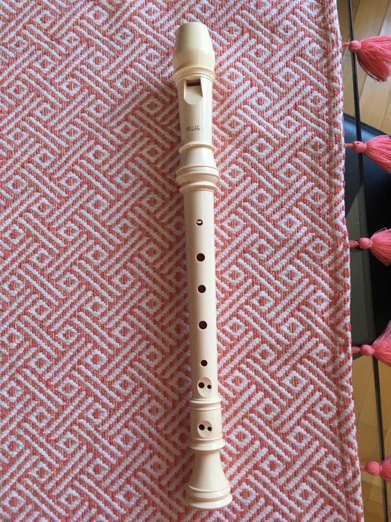 Flûte à Bec AULOS vintage beige (Gebraucht) in Genève für CHF 20 – mit ...