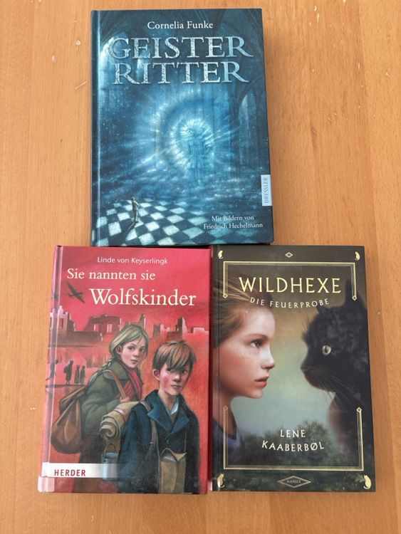 3 spannende Jugendbücher Fantasy und Historisch (Gebraucht) in Altwis ...