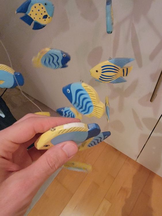 Fisch Mobilet (Gebraucht) in Haag (Rheintal) für CHF 10 – mit Lieferung ...