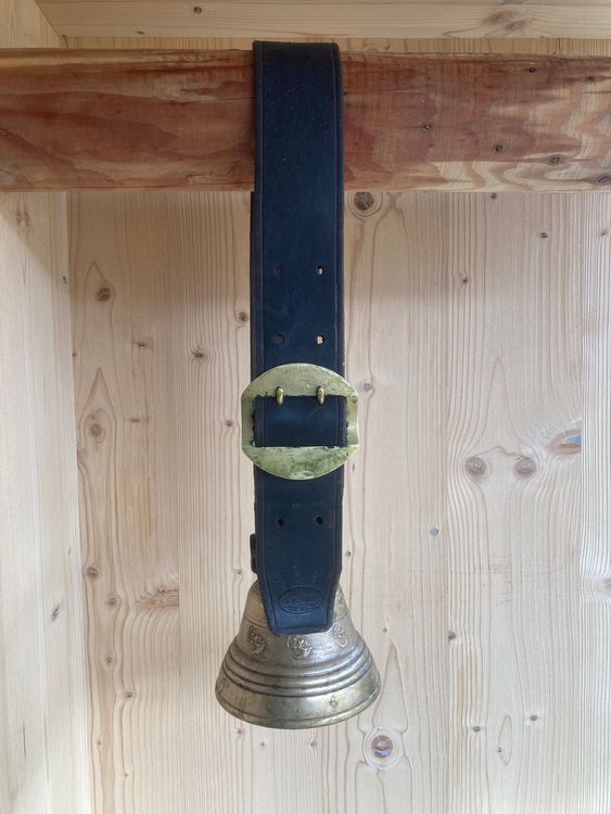 Cloche à vendre | Kaufen auf Ricardo