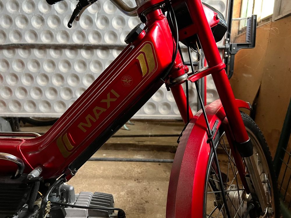 Maxi N Condor | Kaufen auf Ricardo