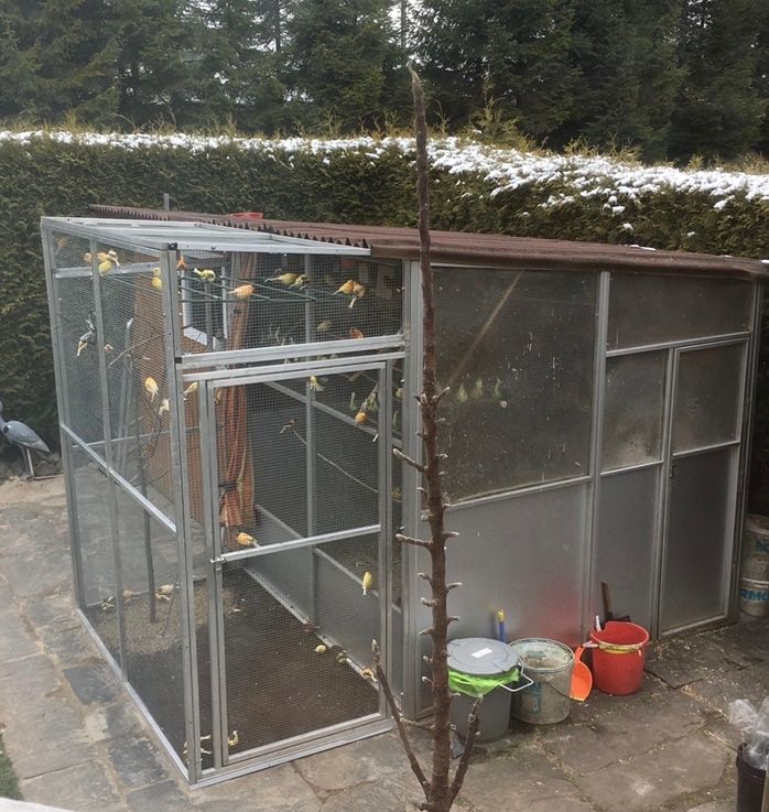 Grosse Voliere aus Aluminium (Gebraucht) in Diessenhofen für CHF 265 ...