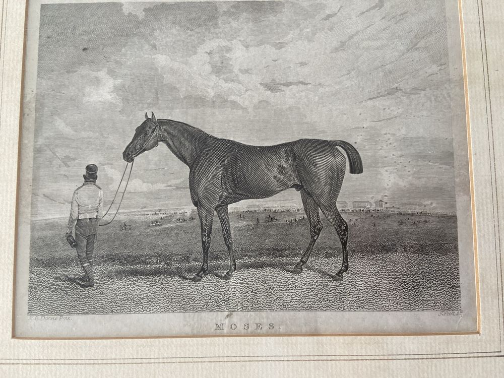 Pferde Stich hinter Glas, gerahmt (Gebraucht) in Luzern für CHF 15 – mit Lieferung auf Ricardo ...