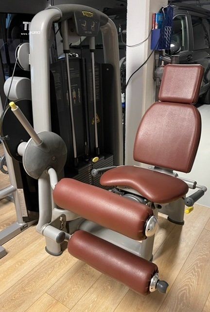 Technogym Selection Leg Curl 700 (Gebraucht) in Susten für CHF 800 ...