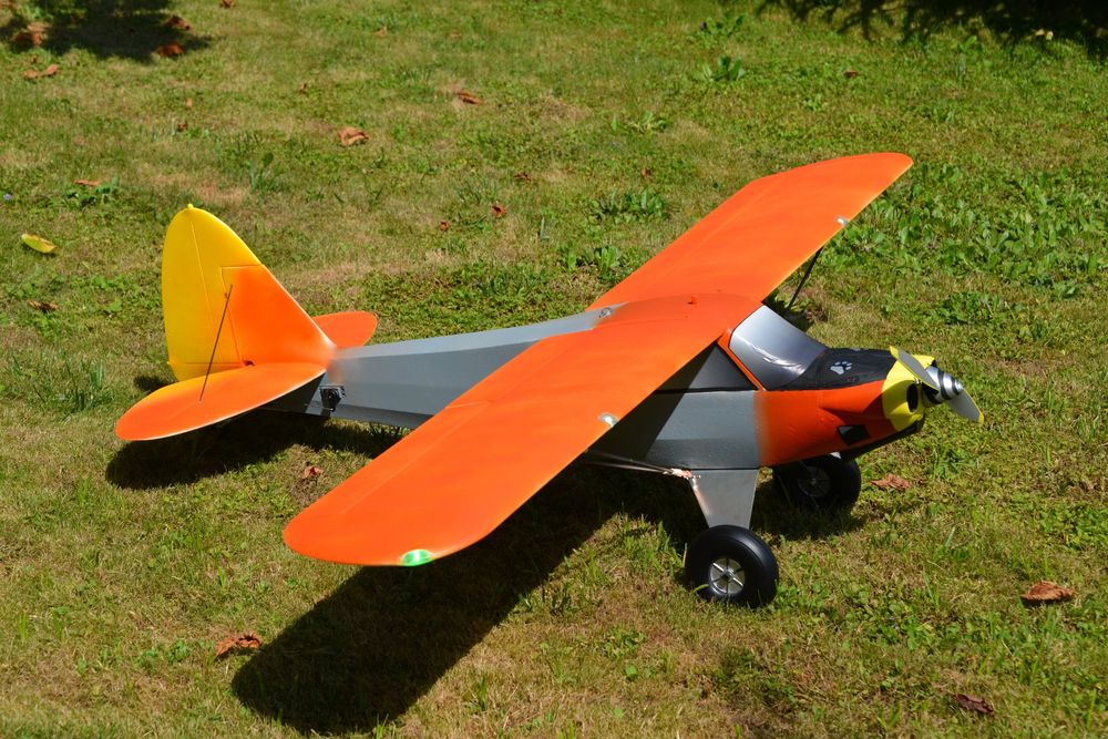 Fun Cub XL von Multiplex (Neu (gemäss Beschreibung)) in Oberneunforn ...