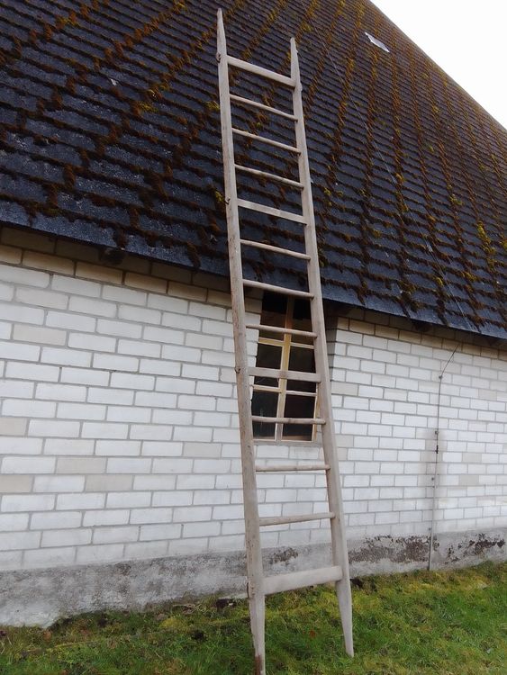 Feuerwehrleite Leiter Holzleiter | Kaufen auf Ricardo