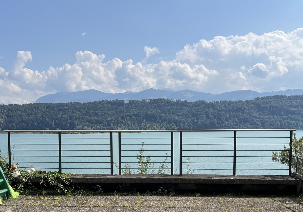 Geländer mit Chromstahlhandlauf 1m hoch (3 Stück) (Gebraucht) in Uznach ...