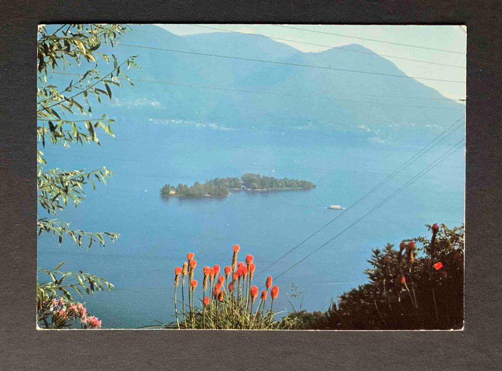 AK Lago Maggiore Bacino Svizzero (Gebraucht) in Goldau für CHF 3 – mit Lieferung auf Ricardo kaufen
