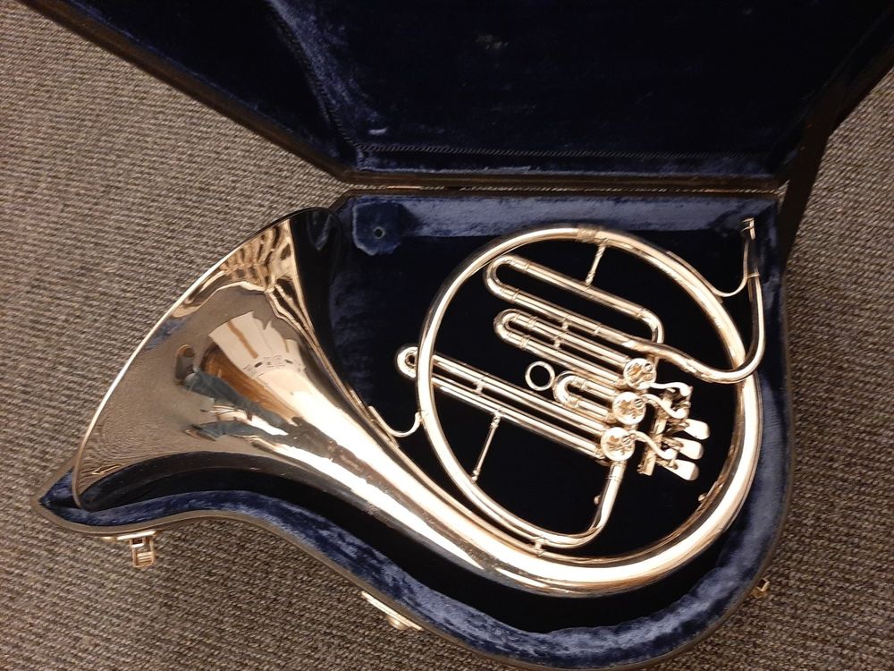 Es-Althorn in Waldhornform (Gebraucht) in Tann für CHF 150 – nur ...