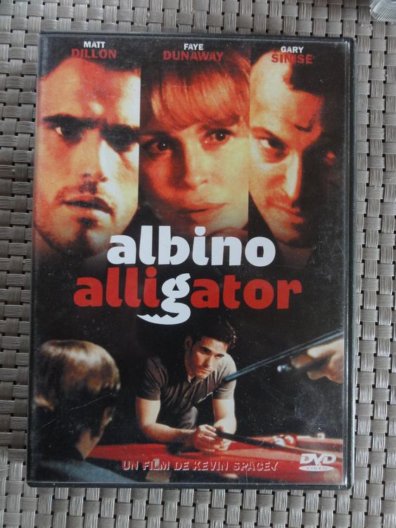 Albino Alligator | Kaufen auf Ricardo