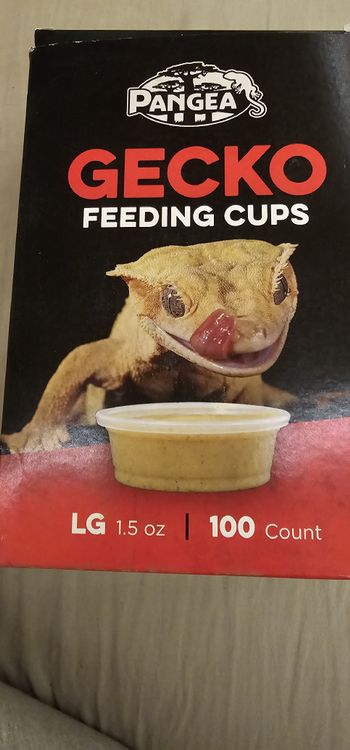 Pangea Gecko Feeding cups | Kaufen auf Ricardo