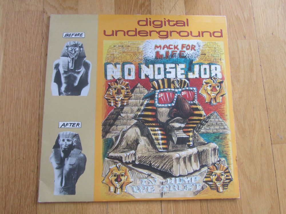 Digital Underground - No Nose Job (12") (Gebraucht) in Seengen für CHF ...
