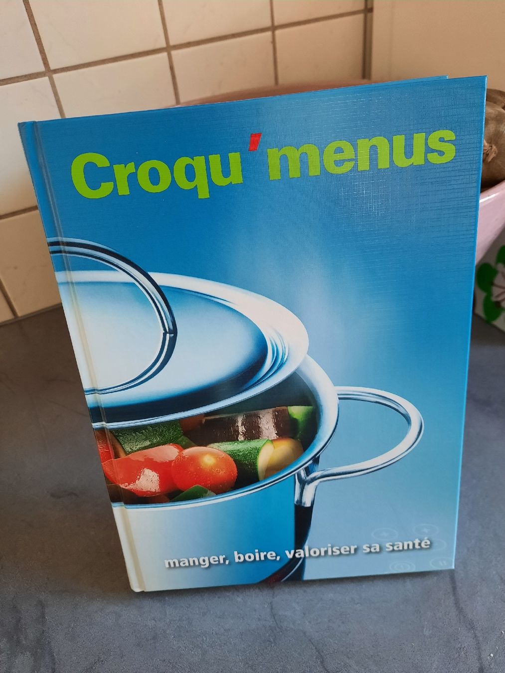 CROQU'MENUS, RECETTES de l'ÉCOLE MÉNAGÈRE (D'occasion) à Le Locle pour ...