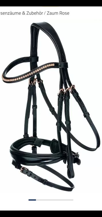 Eleganter Lederzaum mit rosegoldenen Details (Neu (gemäss Beschreibung ...