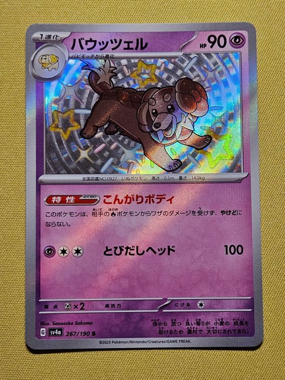 sv4a Shiny Treasure EX - Dachsbun 267/190 S (Gebraucht) in Bellinzona für CHF 2.5 – mit ...