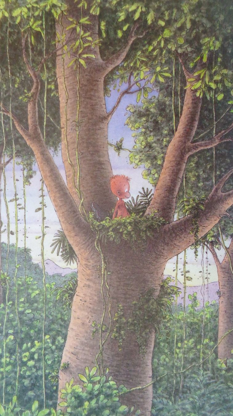 Kleiner Dodo lass den Drachen fliegen / Bilderbuch Affe (Gebraucht) in ...