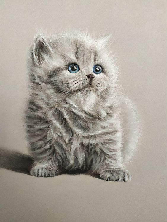 Katzenbild mit Pastellkreiden gemalt (Neu (gemäss Beschreibung)) in ...