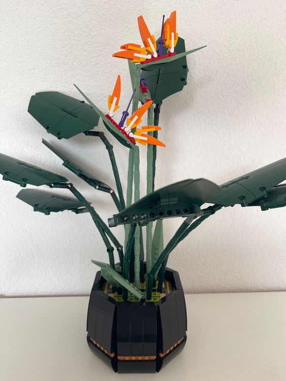 Lego Icons: bird of paradise (Gebraucht) in Clarens für CHF 40 – mit ...