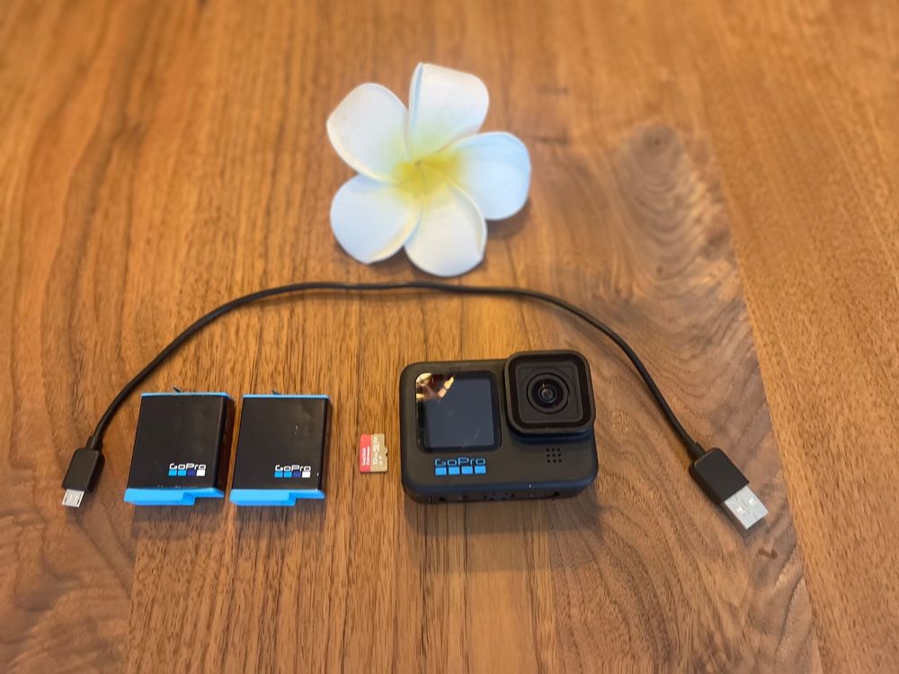 GoPro Hero 10 Black inkl. 2 Akkus und 32GB SD Karte | Kaufen auf Ricardo