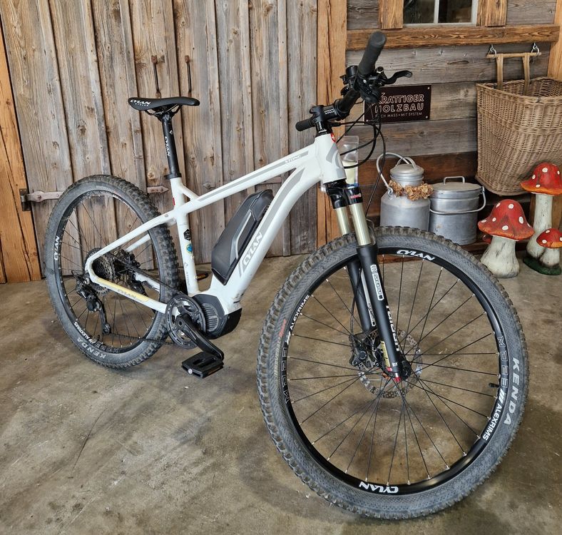 CYLAN Stone E-Mtb + Shimano Steps (Gebraucht) in Bischofszell für CHF ...