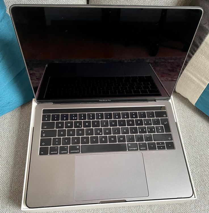 McBook Pro 2017-Memoire16Go-Stockage1To- BatterieHS | Kaufen auf Ricardo