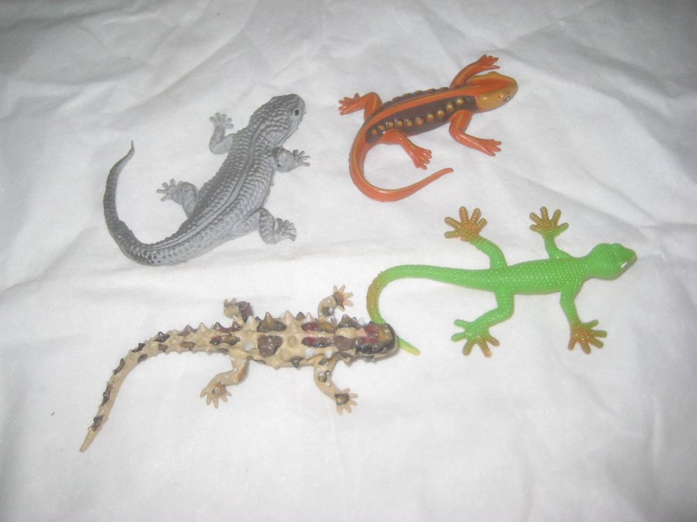 ECHSEN AUS GUMMI (Neu (gemäss Beschreibung)) in Uster für CHF 8 – mit ...